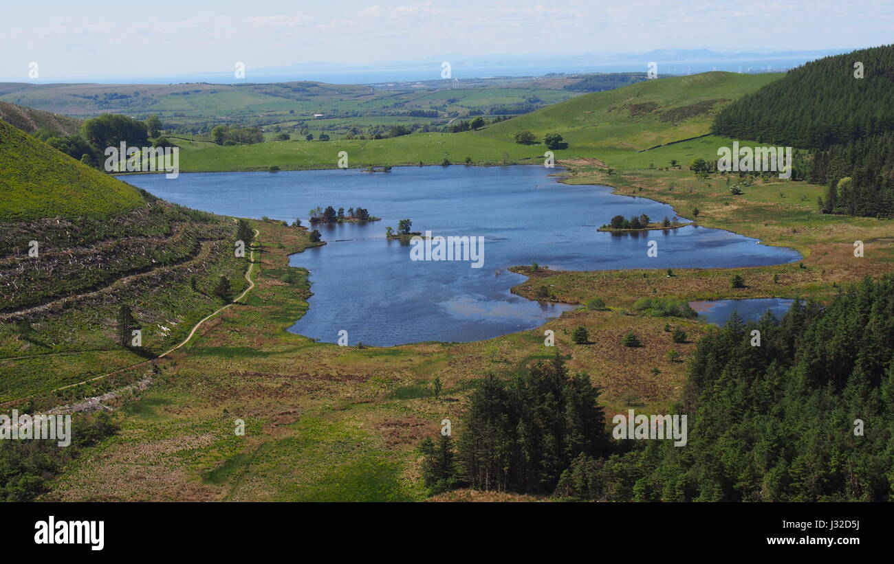 Cogra moss hi-res stock photography and images - Alamy