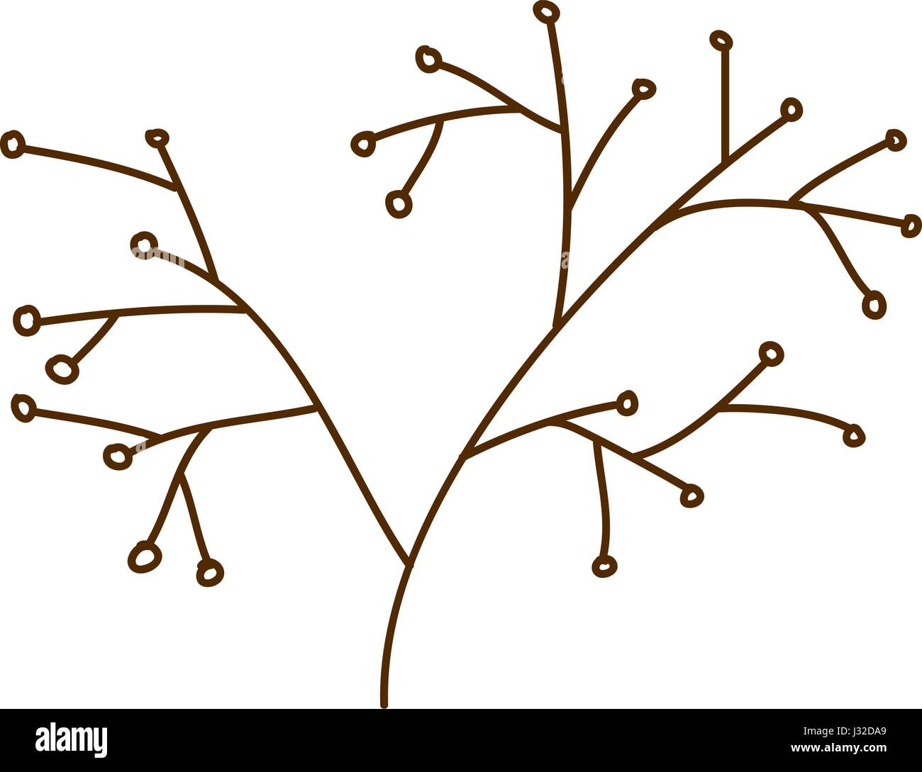 brown contour graphic of stem with seeds Stock Vector Image & Art - Alamy