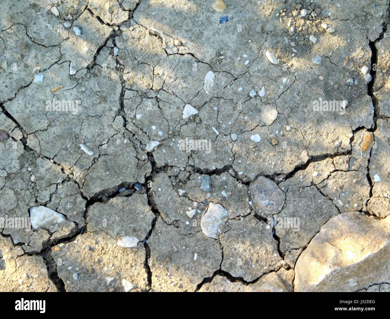 Texture of arid land Stock Photo - Alamy
