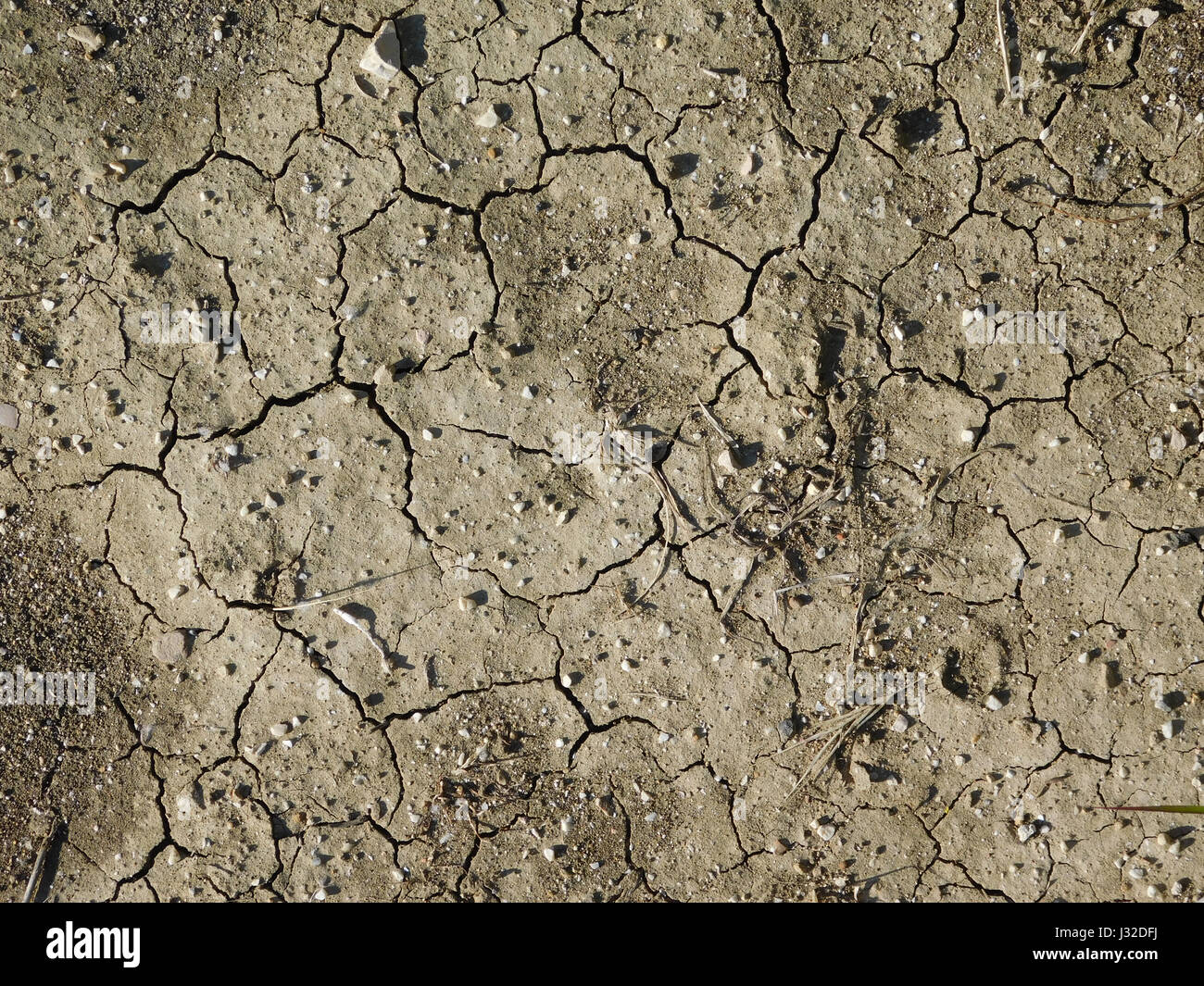 Texture of arid land Stock Photo - Alamy