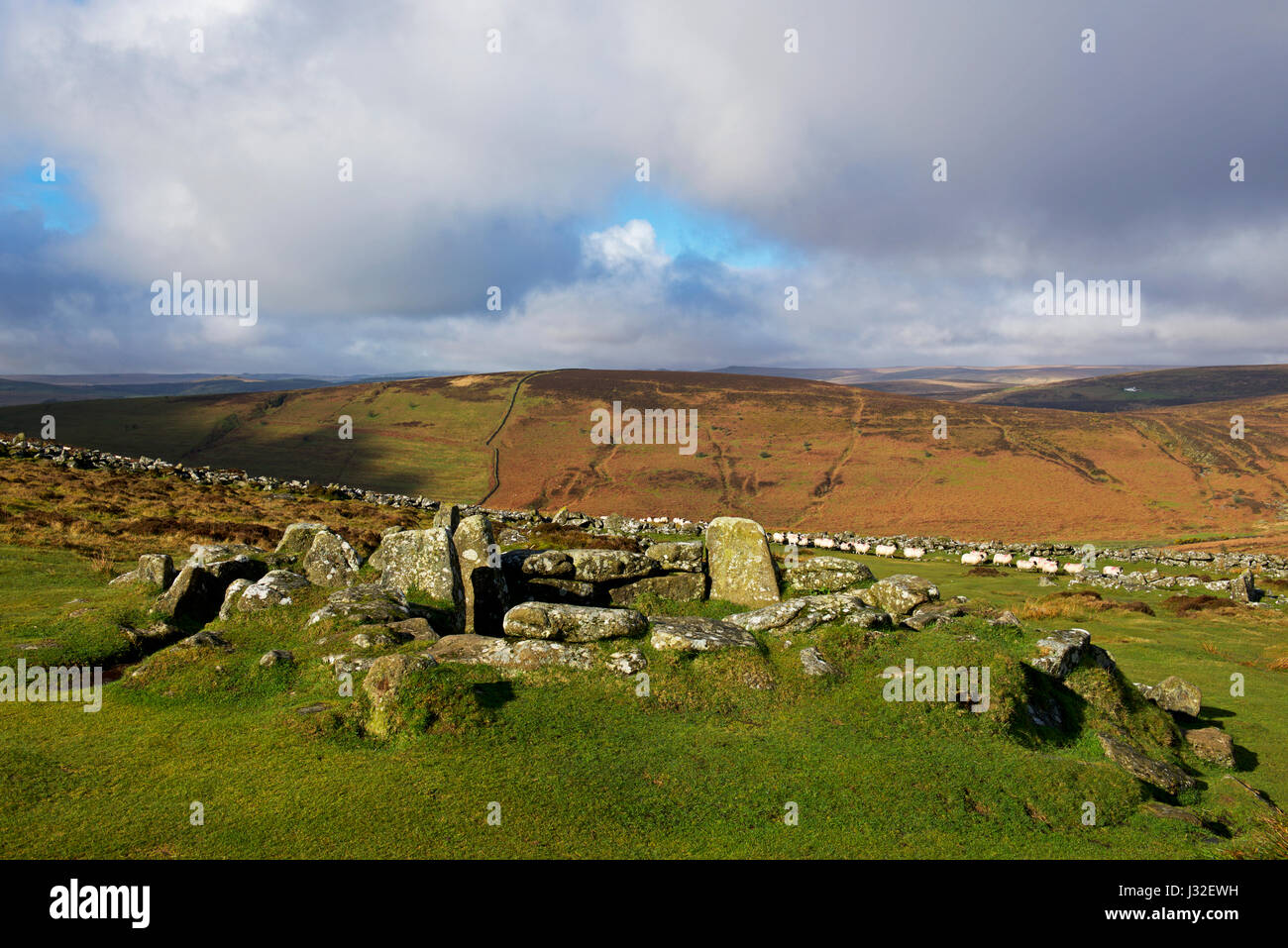 Grimspound, a Bronze Age Settlement on Dartmoor, Devon, England UK ...