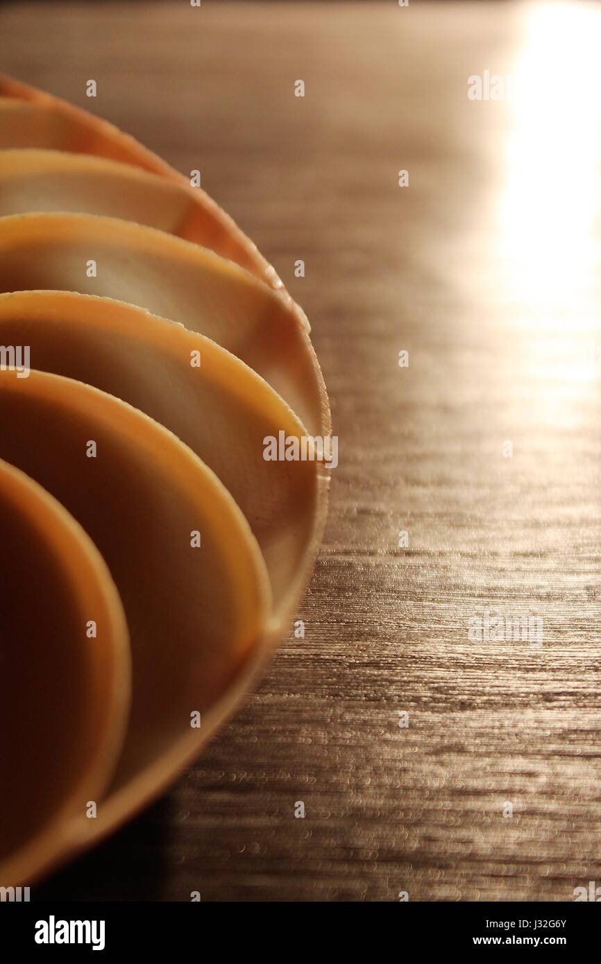 Snail shell cross section hi-res stock photography and images - Alamy