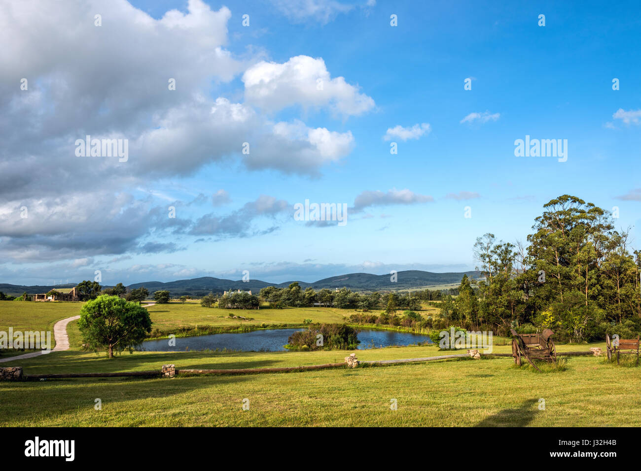 Sunny day in the middle of nowhere in the countryside of Uruguay Stock ...