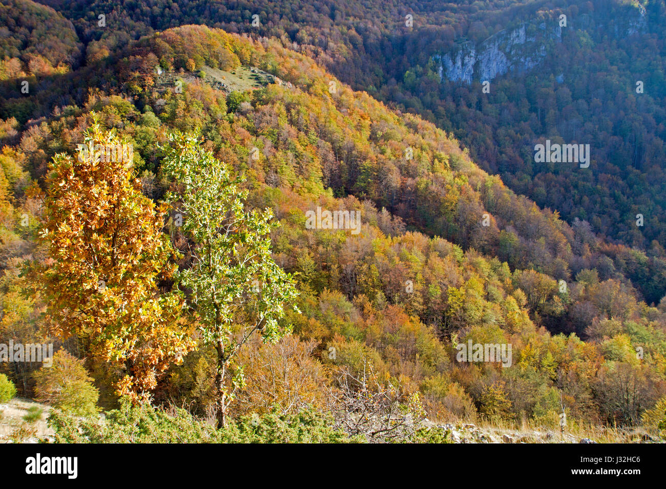 Basilicata pollino hi-res stock photography and images - Alamy
