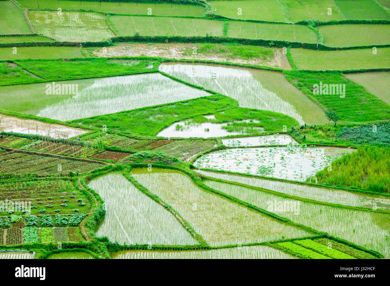 Agrirulture hi-res stock photography and images - Alamy