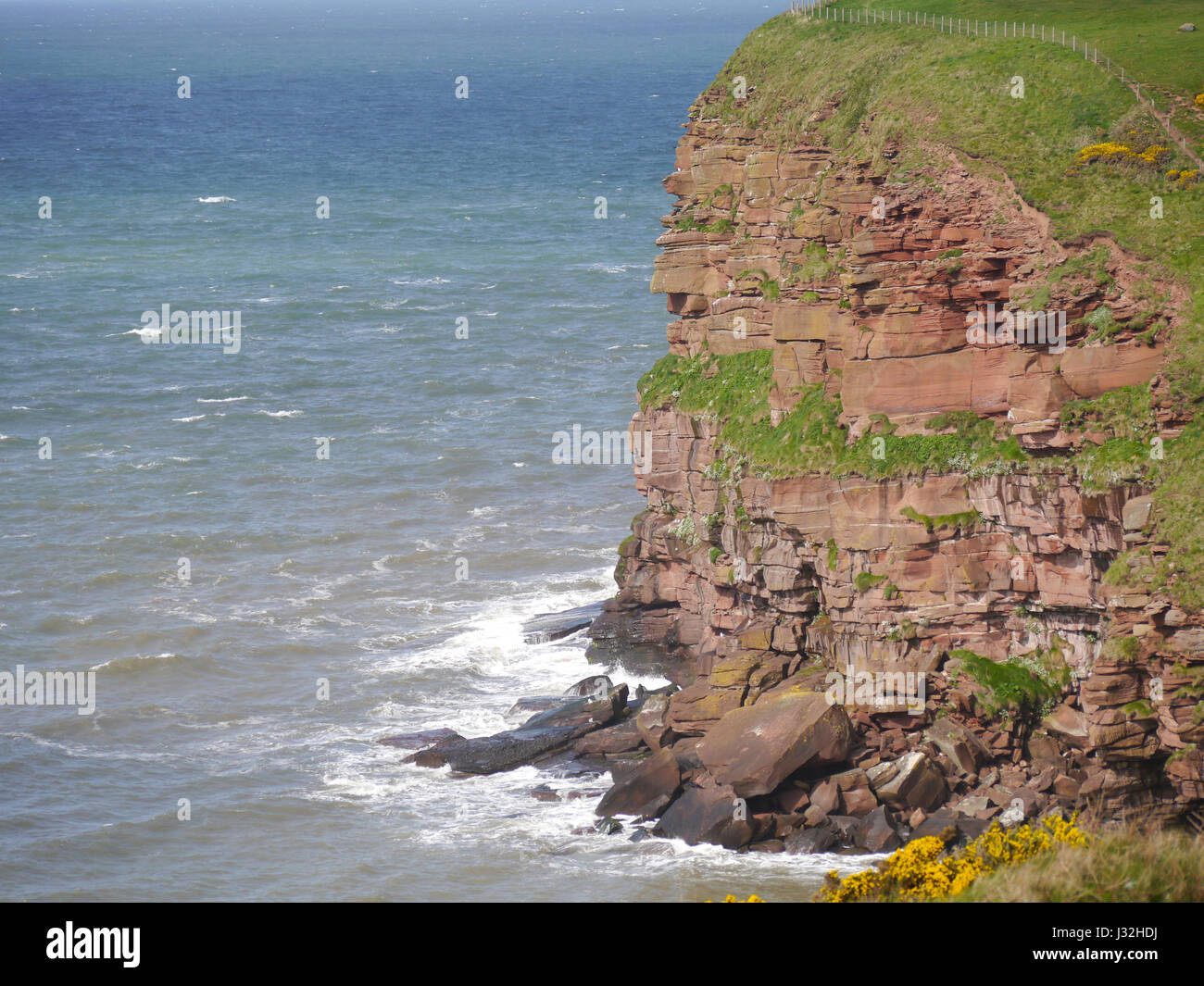 The Cliff face at the RSPB nature reserve, St Bees Head, Cumbria ...