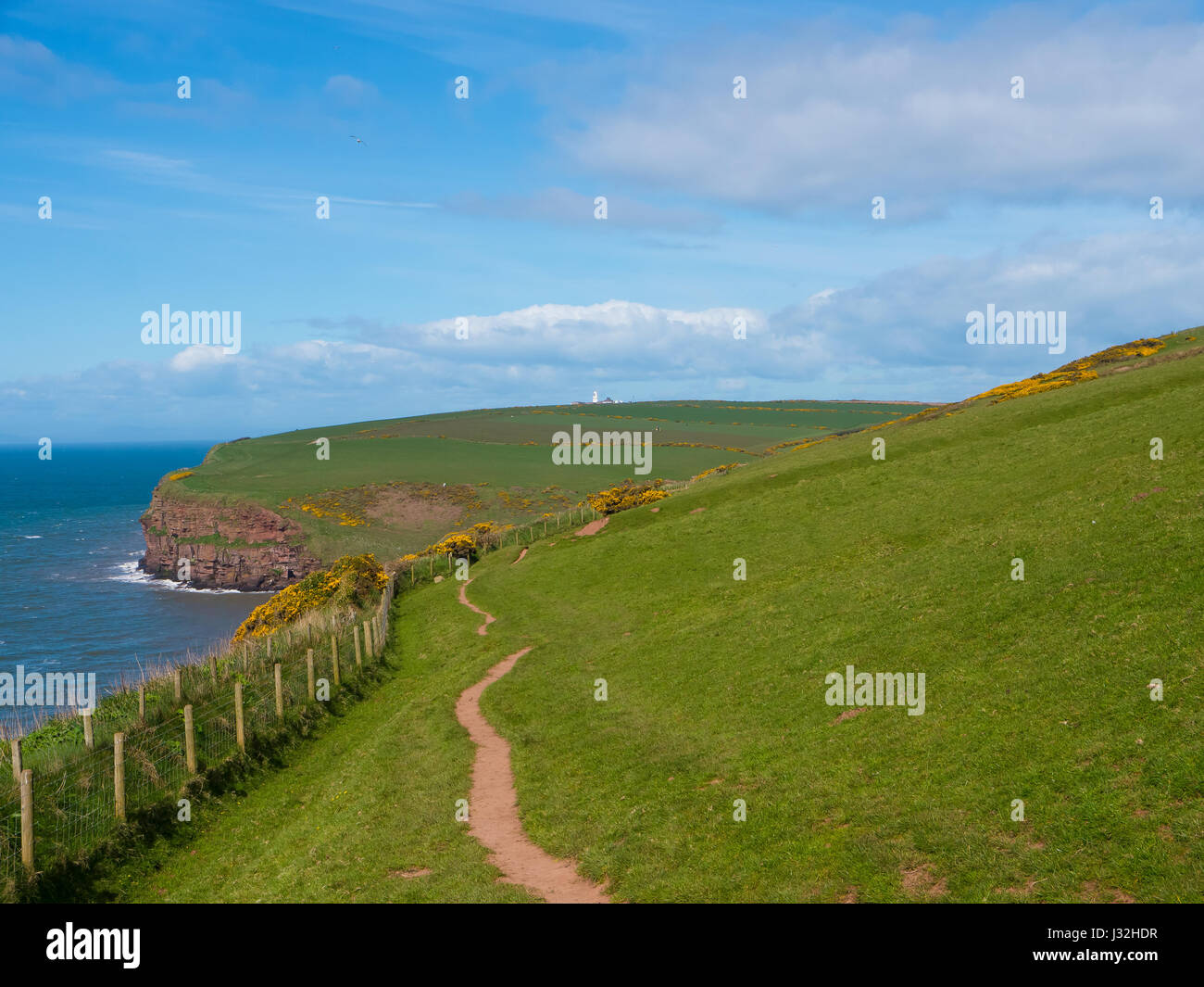 The cliff face and coast to coast path at St Bees head and Fleswick bay ...