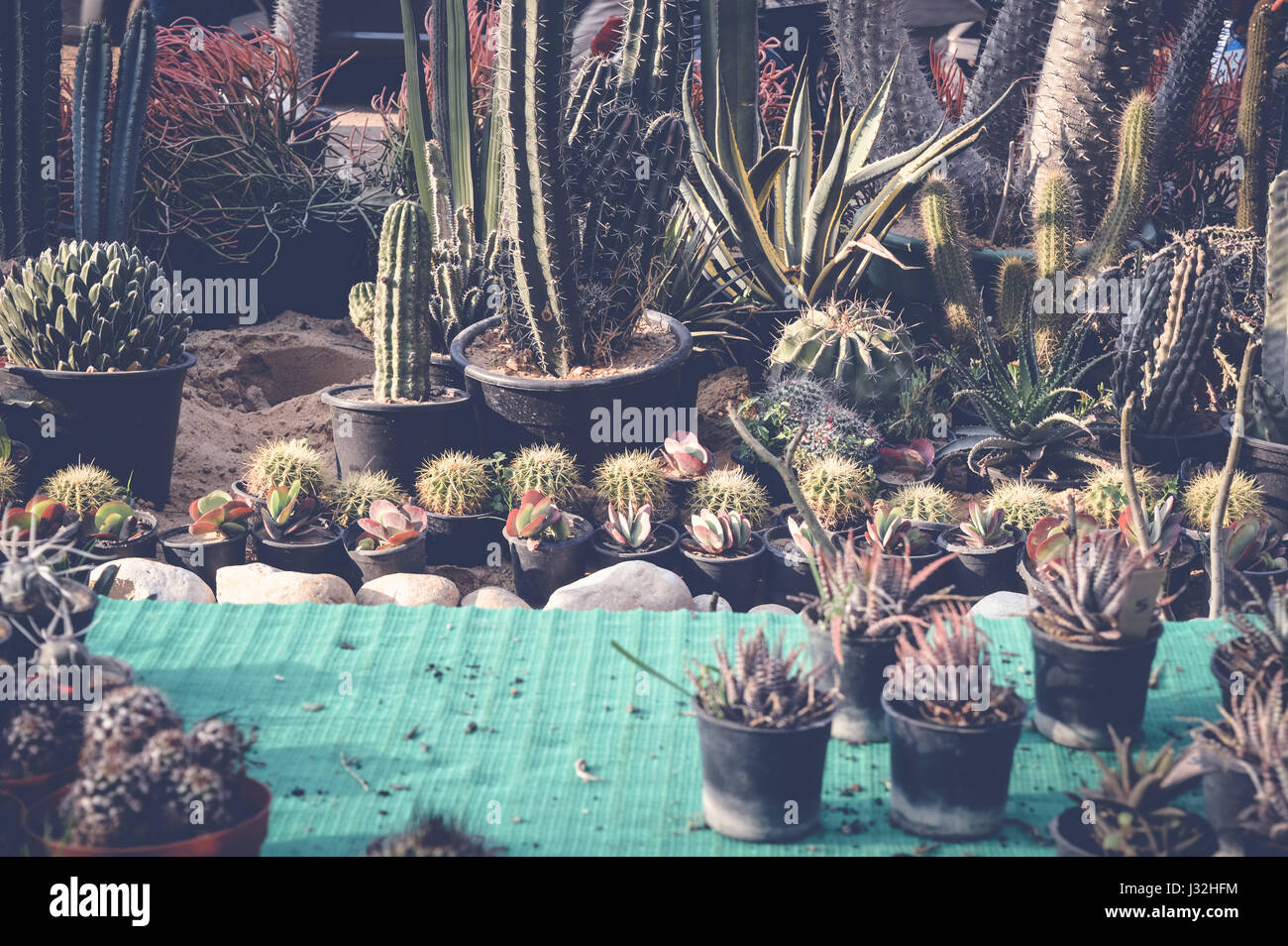 Orman garden hi-res stock photography and images - Alamy