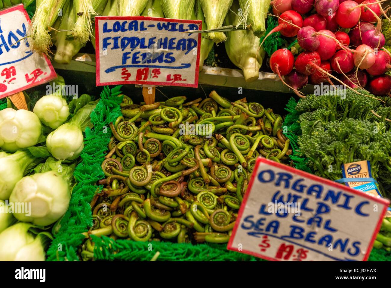 Fiddlehead Ferns for sale in an open market Stock Photo - Alamy
