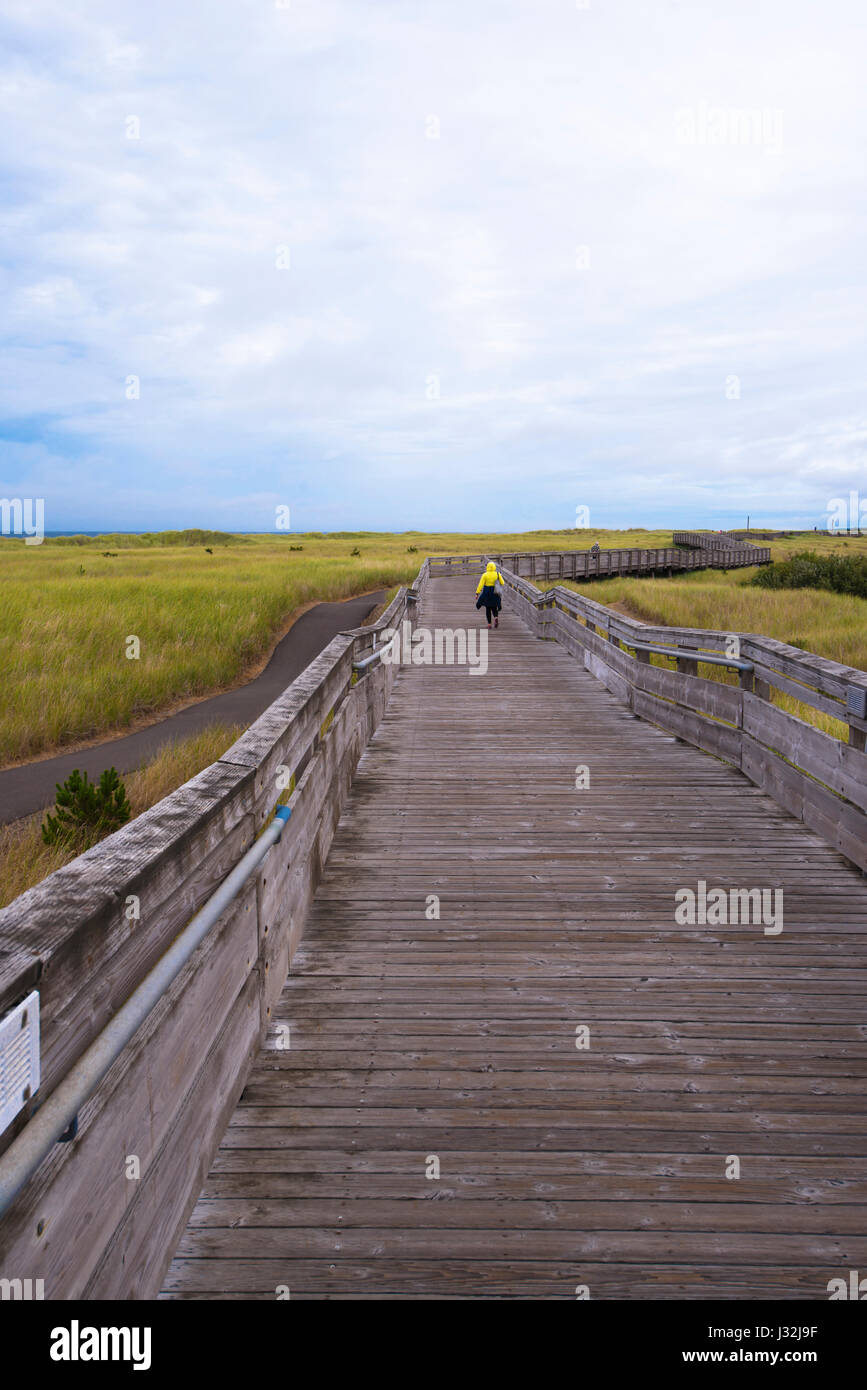 Long wooden walkway from the boardwalk and wooden railing stretches ...