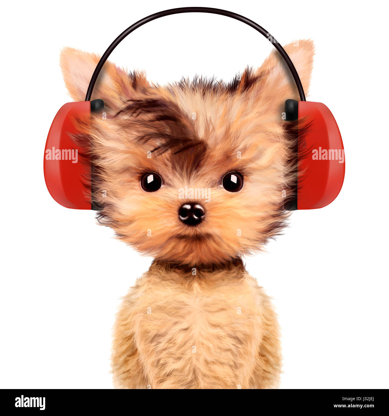 White dog headphone isolated on hi-res stock photography and images - Alamy