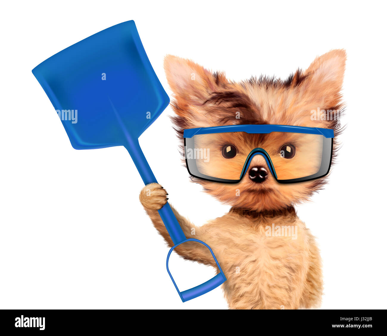 Funny dog shovel isolated on hi-res stock photography and images - Alamy