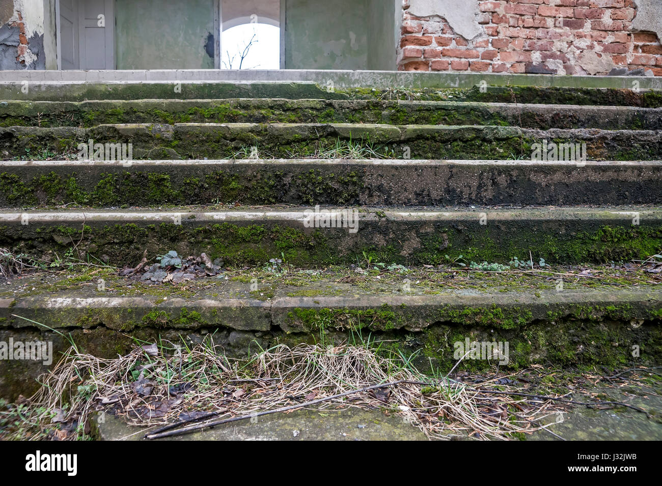 Moss covered step hi-res stock photography and images - Alamy