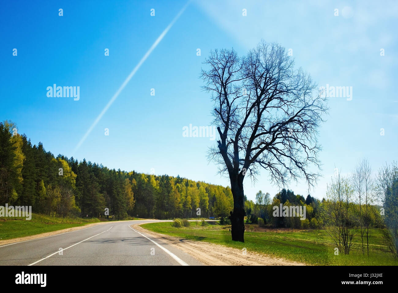 Dry tree country landscape in hi-res stock photography and images - Alamy