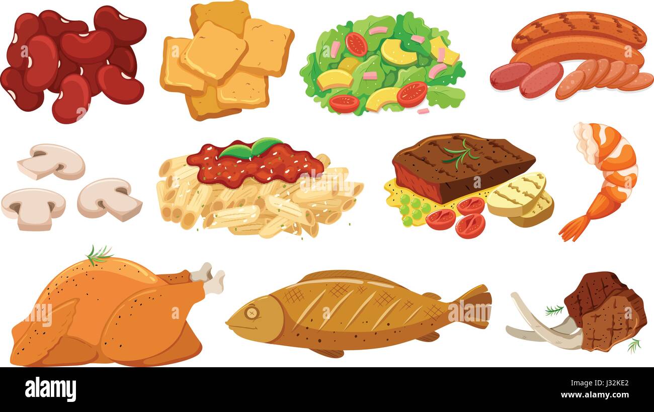 Different types of food and ingredients illustration Stock Vector Image ...