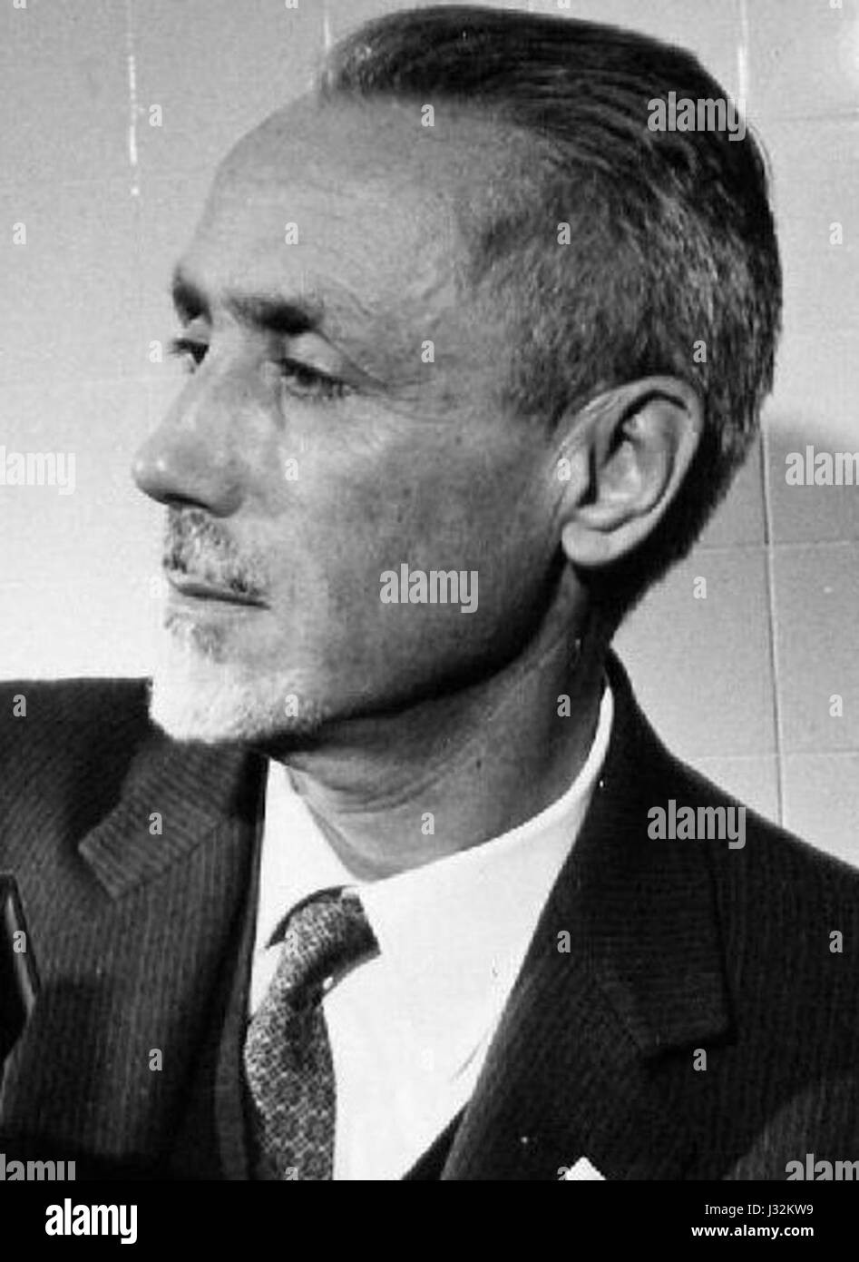 Mario Pavan was an Italian artist known for his work in the fields of ...