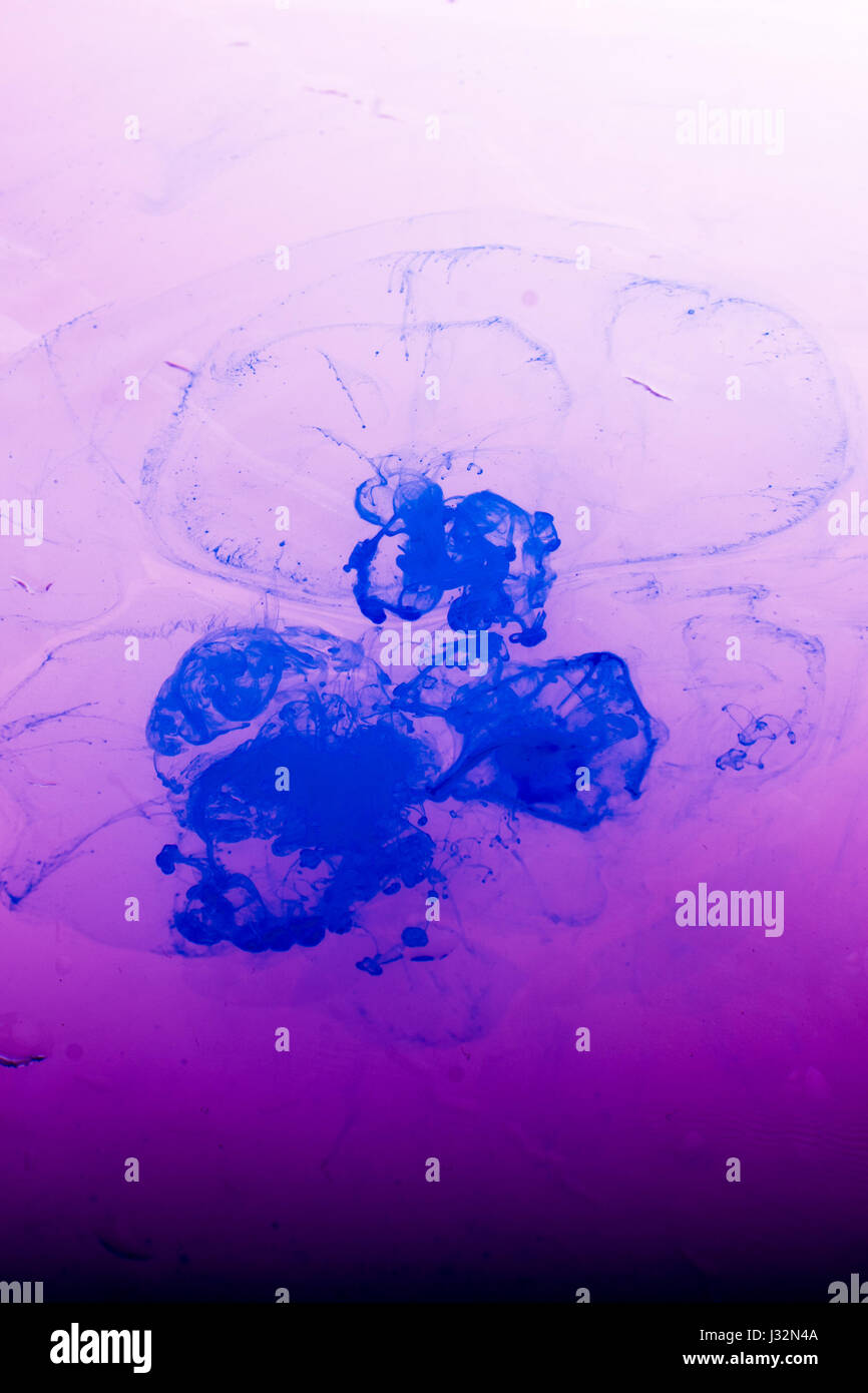 Watercolor paint dissolving in pure water Stock Photo - Alamy