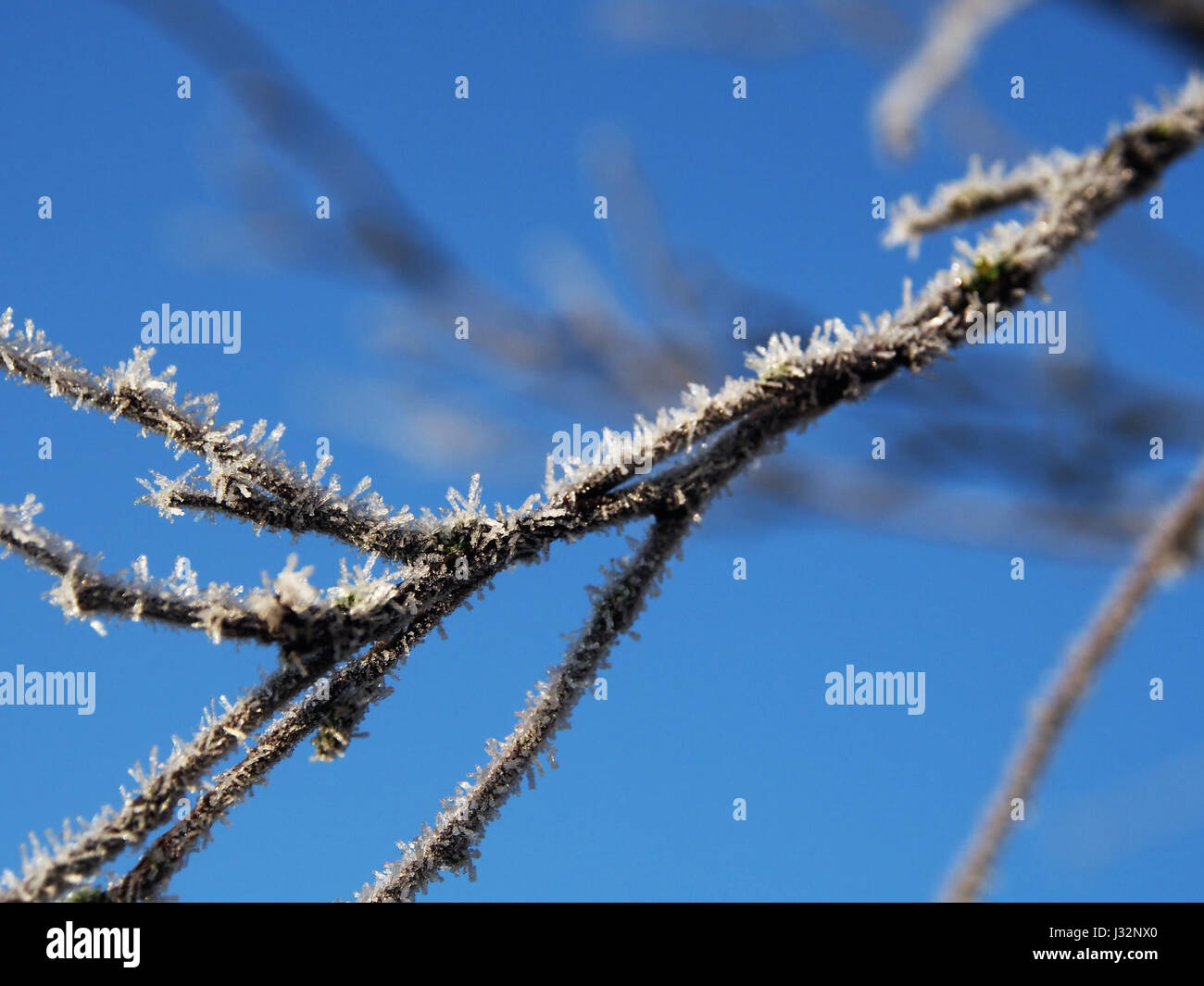 Frost buildup during weather hi-res stock photography and images - Alamy