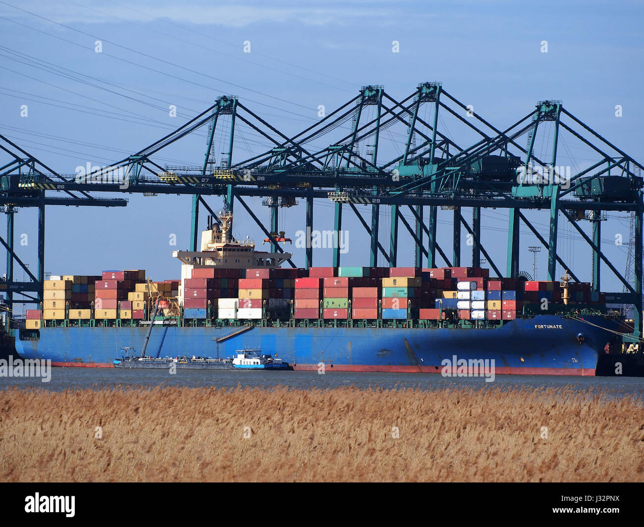 The ship 'Fortunate,' built in 1996, is seen in the Port of Antwerp. It ...