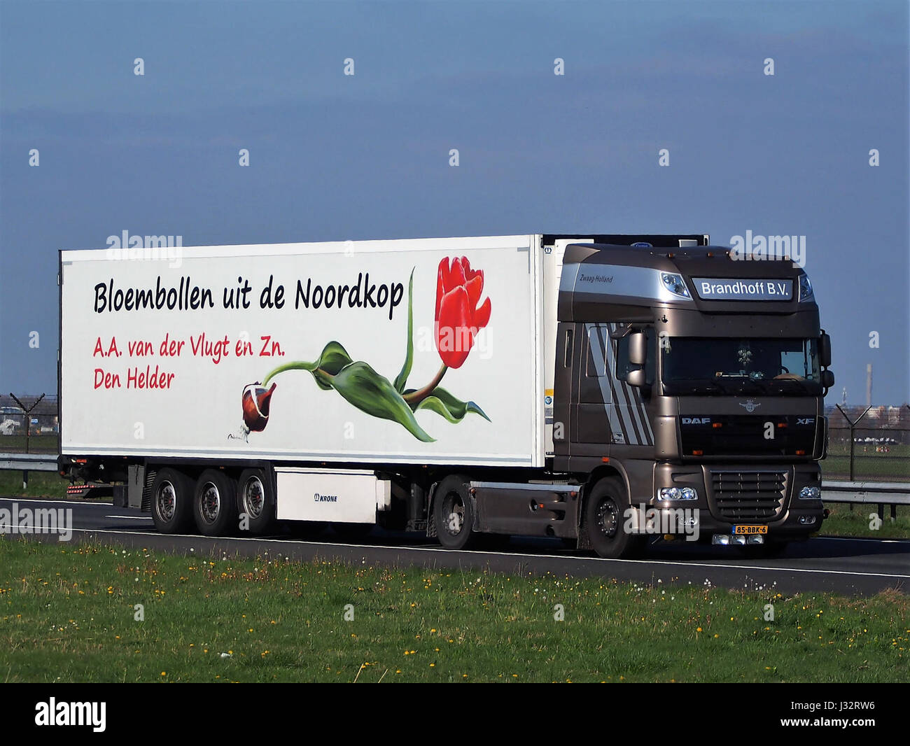 A photograph of a DAF XF truck from Brandhoff BV transporting flowers ...