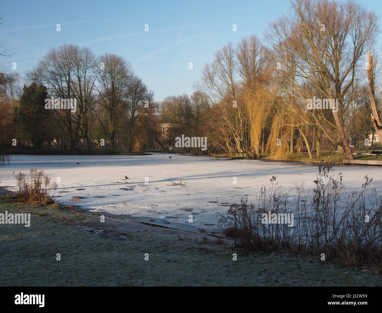 A photograph showing the frozen pond in Oosterpark, Amsterdam. The pond ...