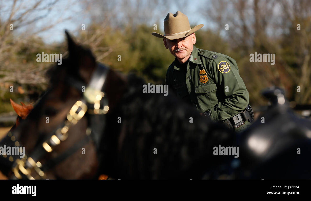 U s border patrol horse patrol unit prepares for innaugural par hi-res ...