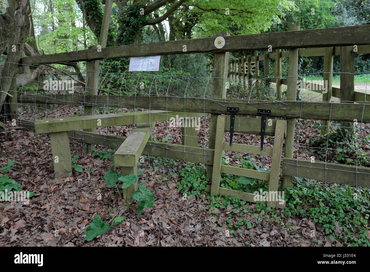 Dog stile hi-res stock photography and images - Alamy