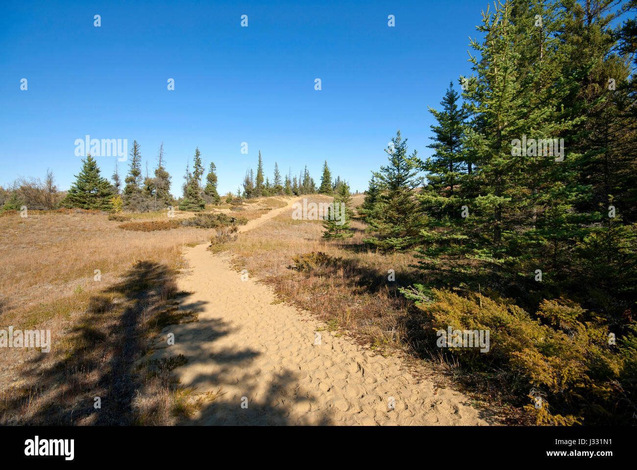 Spirit Sands trail, Spruce Woods Provincial Park, Manitoba, Canada ...