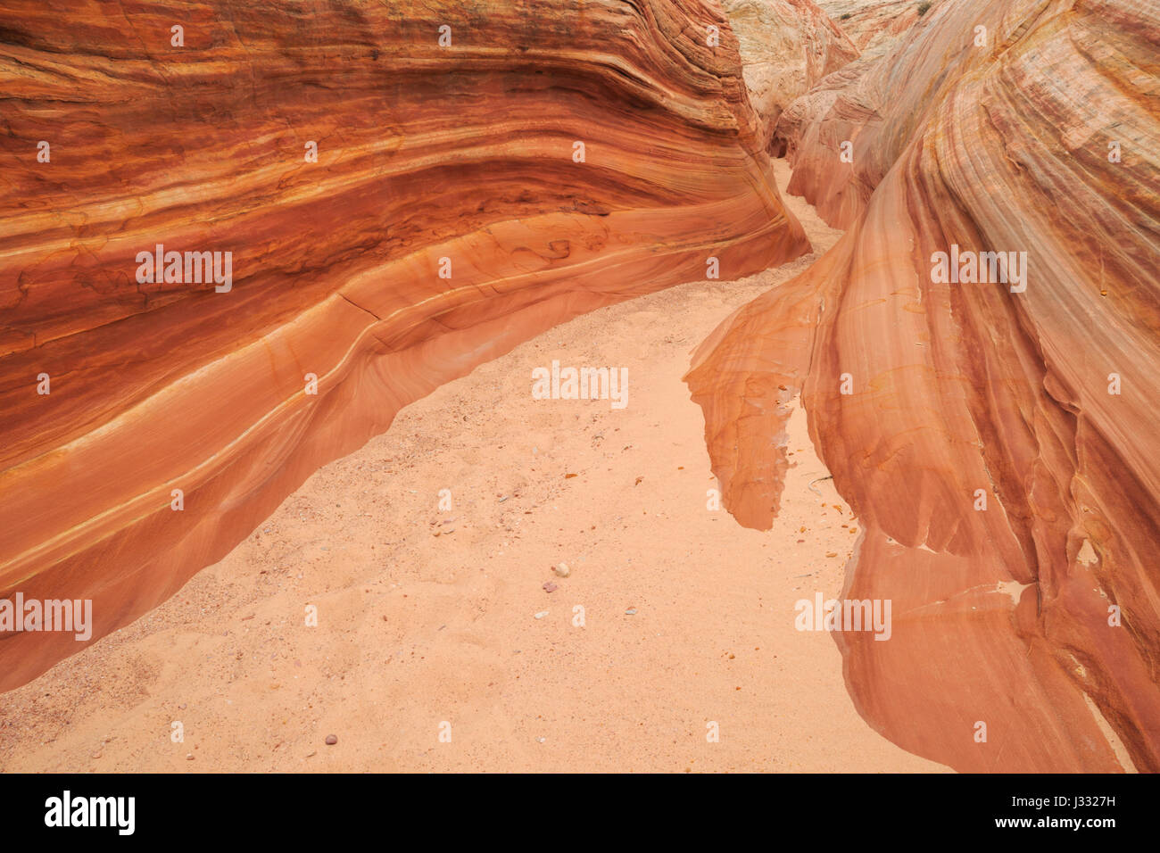 big horn canyon in the harris wash basin near escalante, utah Stock ...