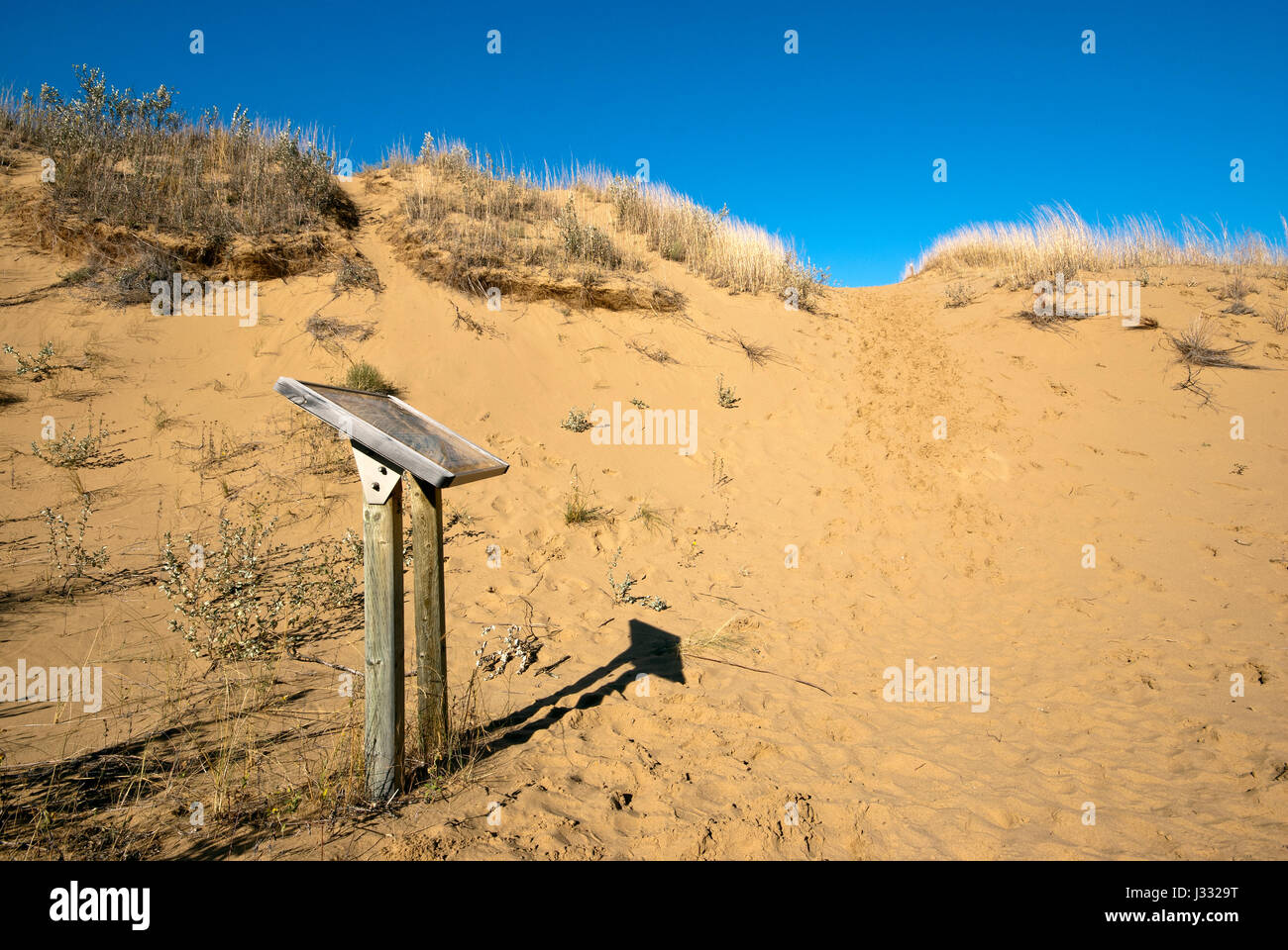 Spirit Sands trail, Spruce Woods Provincial Park, Manitoba, Canada ...