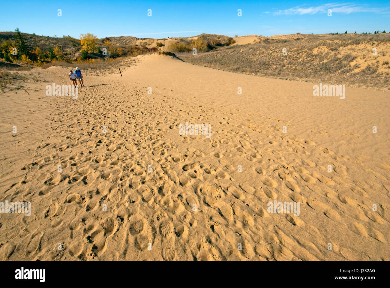 Hikers on the Spirit Sands trail, Spruce Woods Provincial Park ...