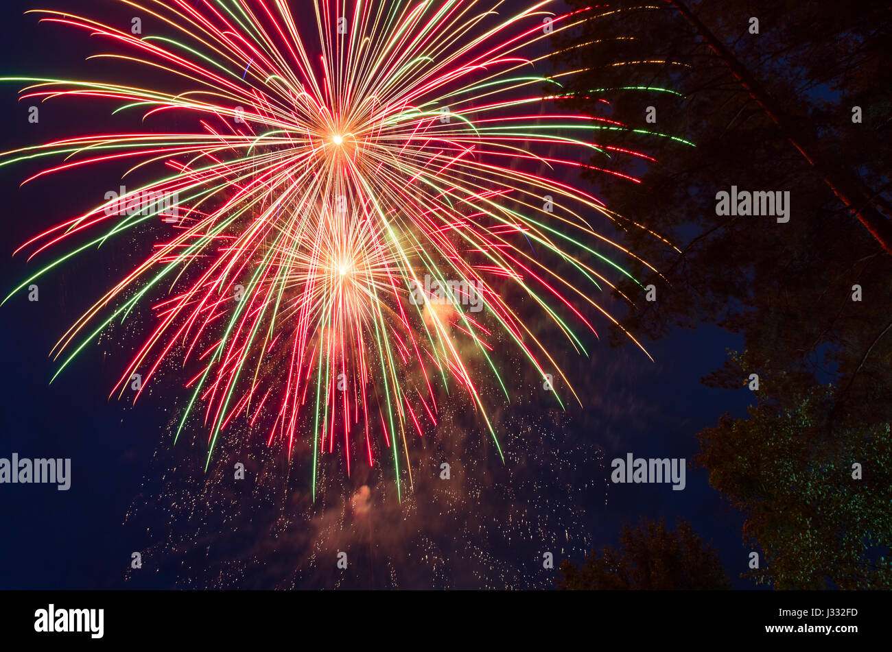 Colorful fireworks against the dark blue sky and trees Stock Photo - Alamy