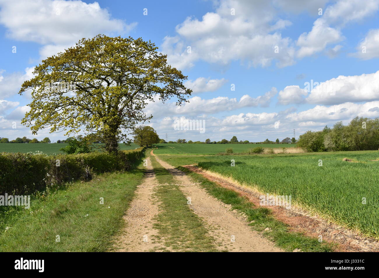 An English country lane on a sunny Spring day Stock Photo - Alamy