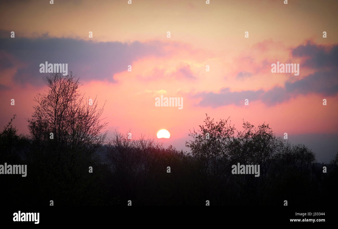 Sunset behind trees Stock Photo - Alamy