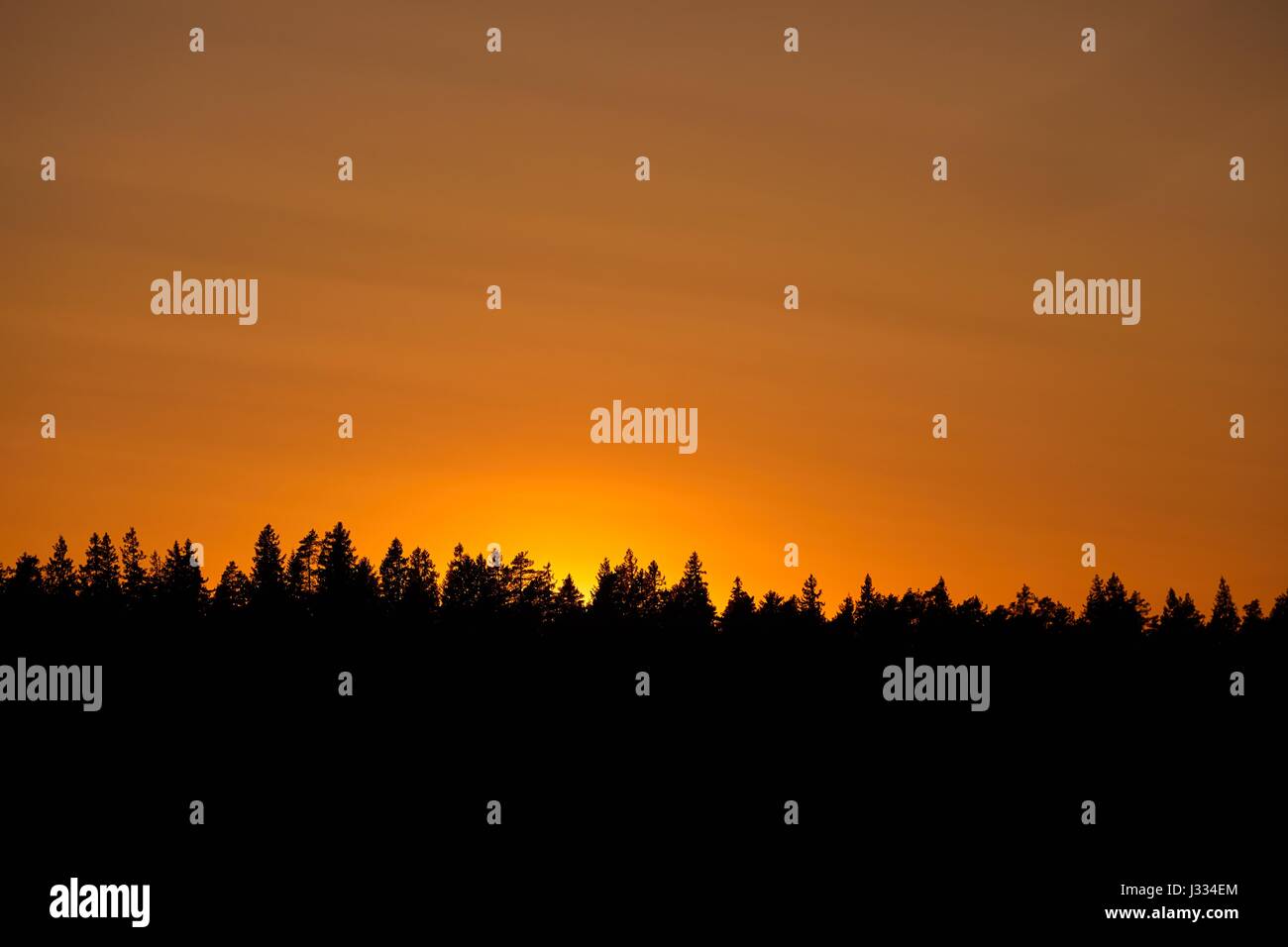 Sunset over trees Stock Photo - Alamy