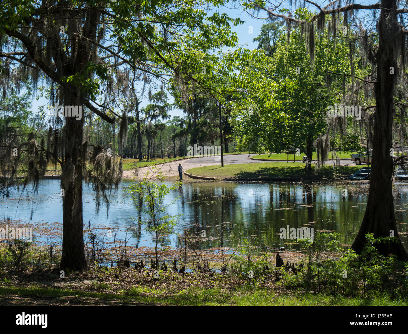 Man fishing near the boat ramp, Lake Bistineau State Park, Doyline ...