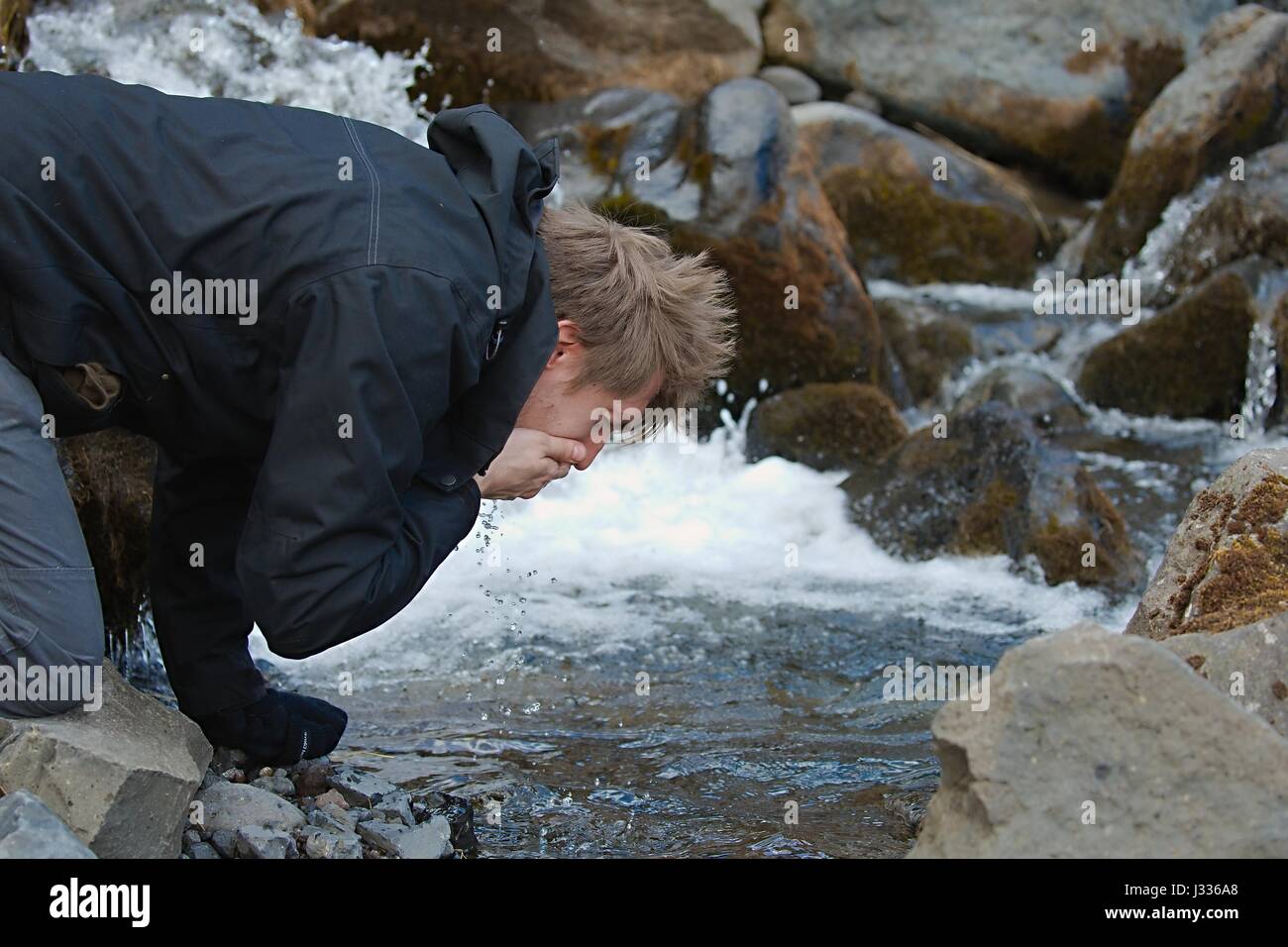 Drinking from a stream Stock Photo - Alamy