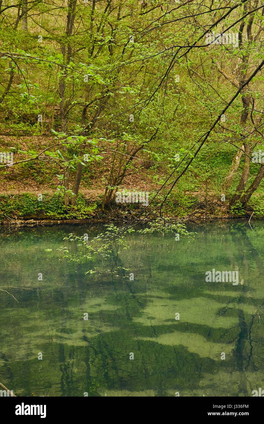Small lake with trees Stock Photo - Alamy