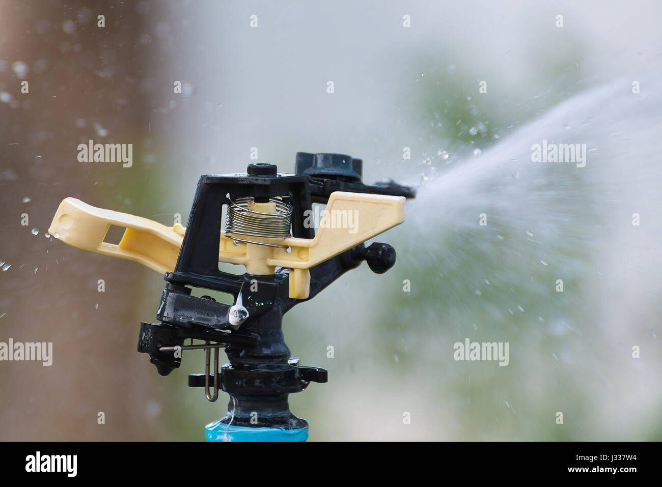 Water springer in the garden and Bokeh background Stock Photo - Alamy
