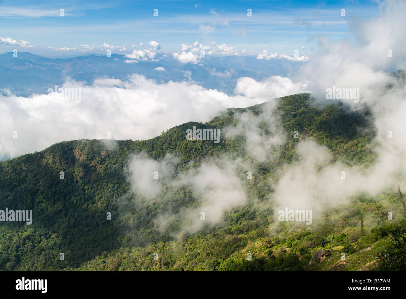 Green mountain of rainforest covered by white cloud making shadow on ...