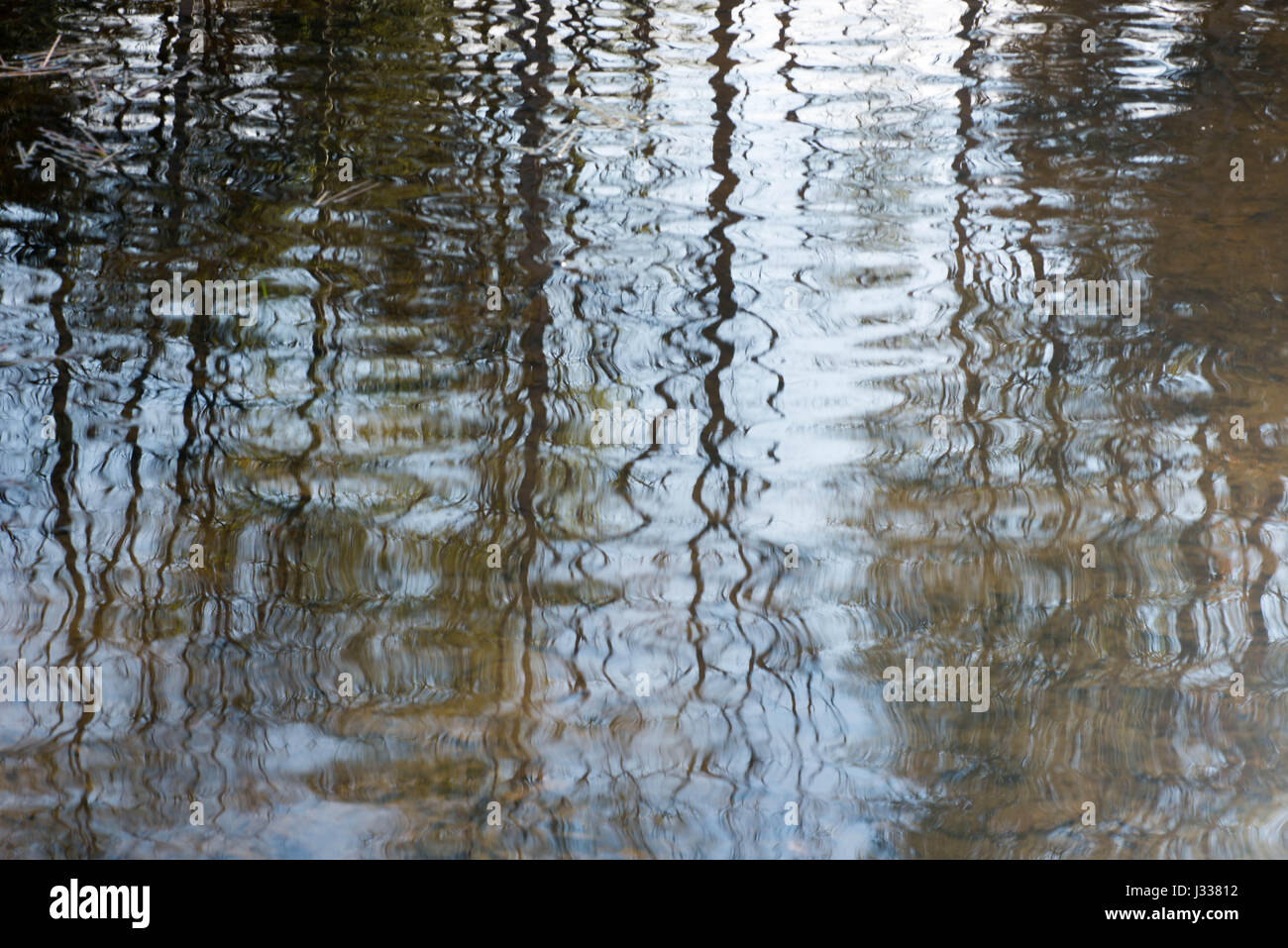 trees reflection on rippled water Stock Photo - Alamy
