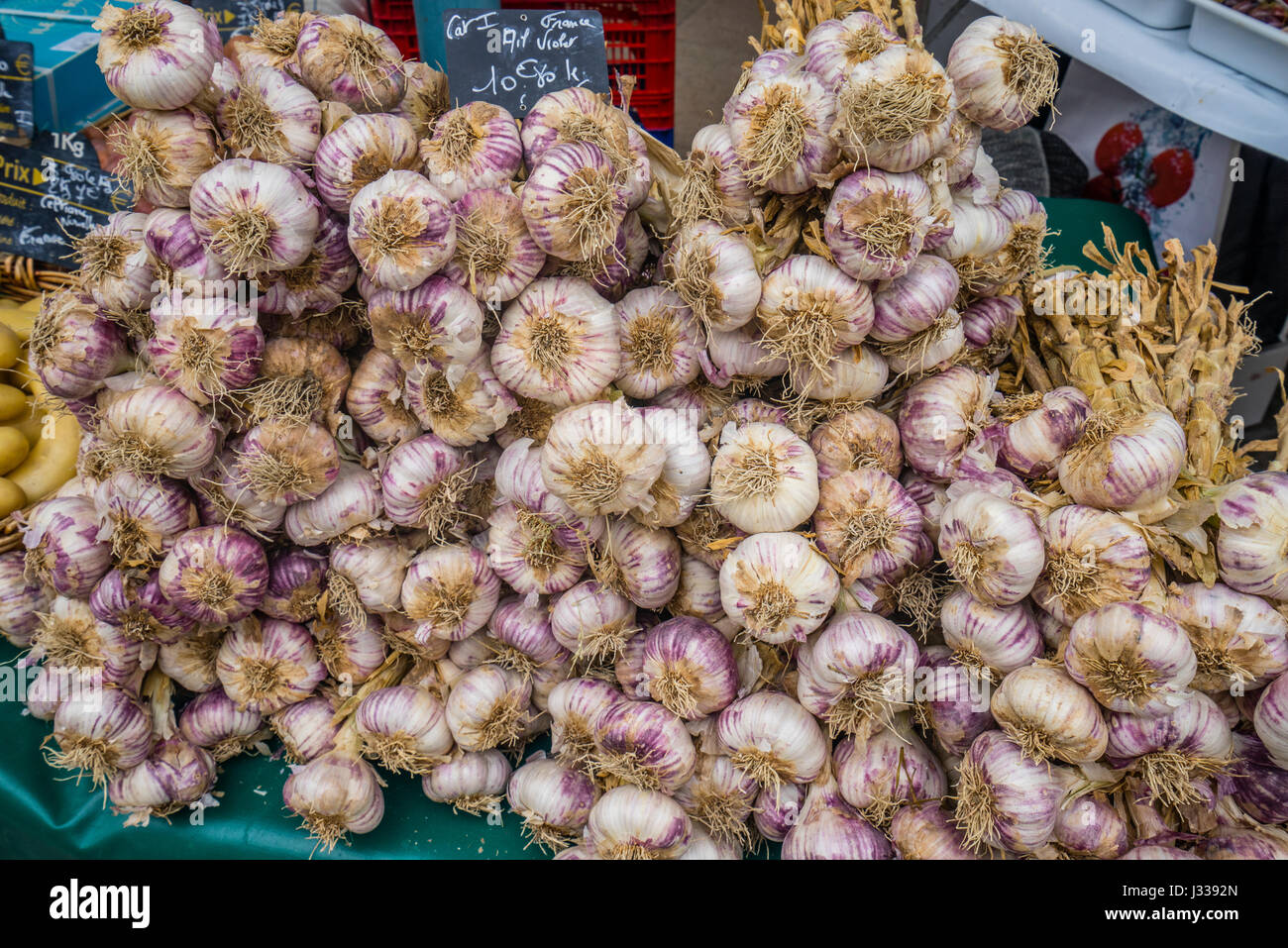 France, Centre-Val de Loire, Chartres, Marche Aux Legumes, garlic on ...