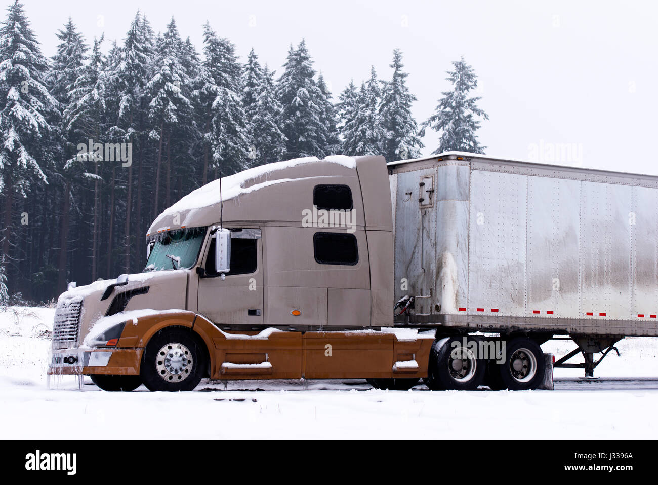 Brown and light brown colors semi truck and white trailer on winter ...