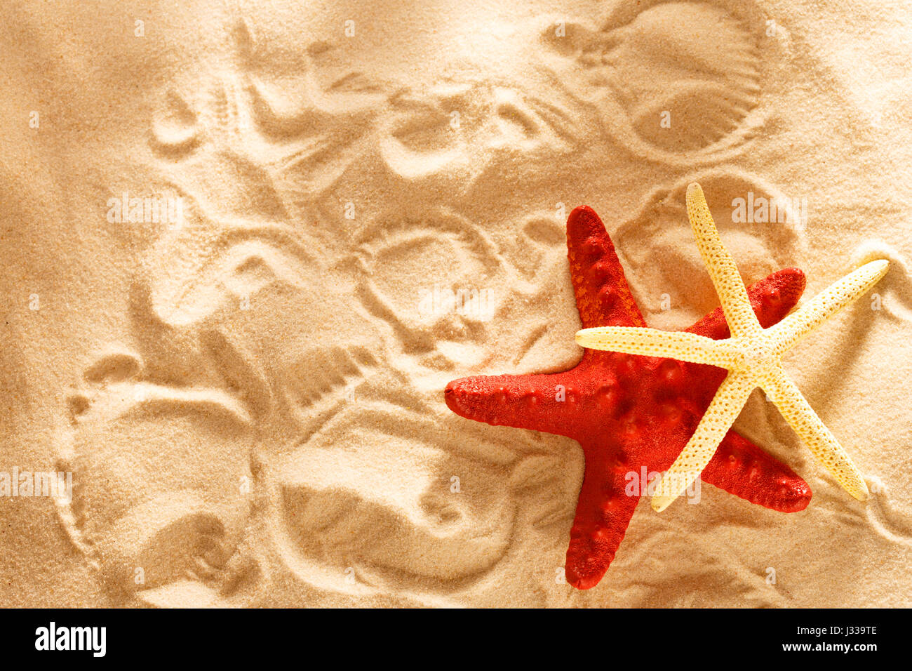 Two sea stars and prints in sand closeup Stock Photo - Alamy