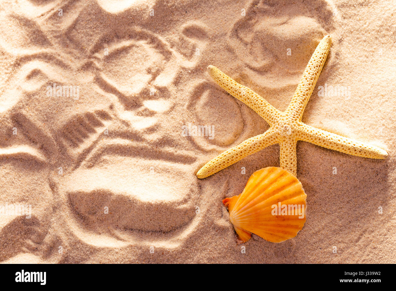 Star shell hi-res stock photography and images - Alamy