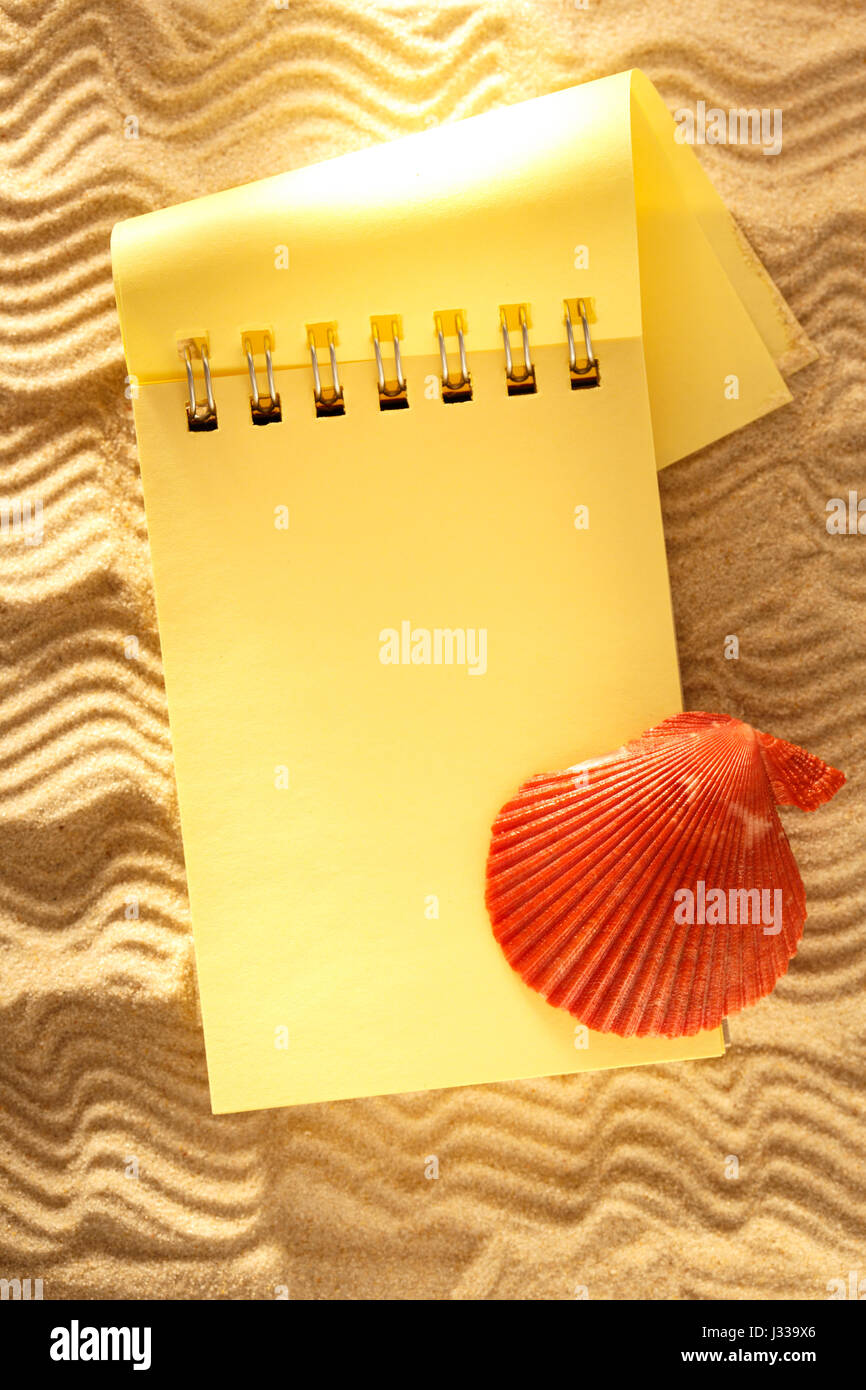Seashell and yellow notepad on sand background in light Stock Photo - Alamy