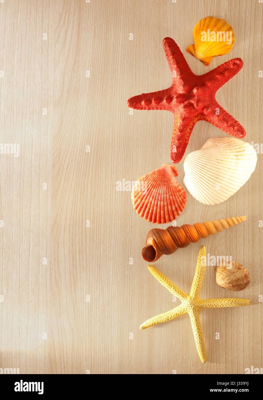 Collection of sea shells and stars in closeup Stock Photo - Alamy