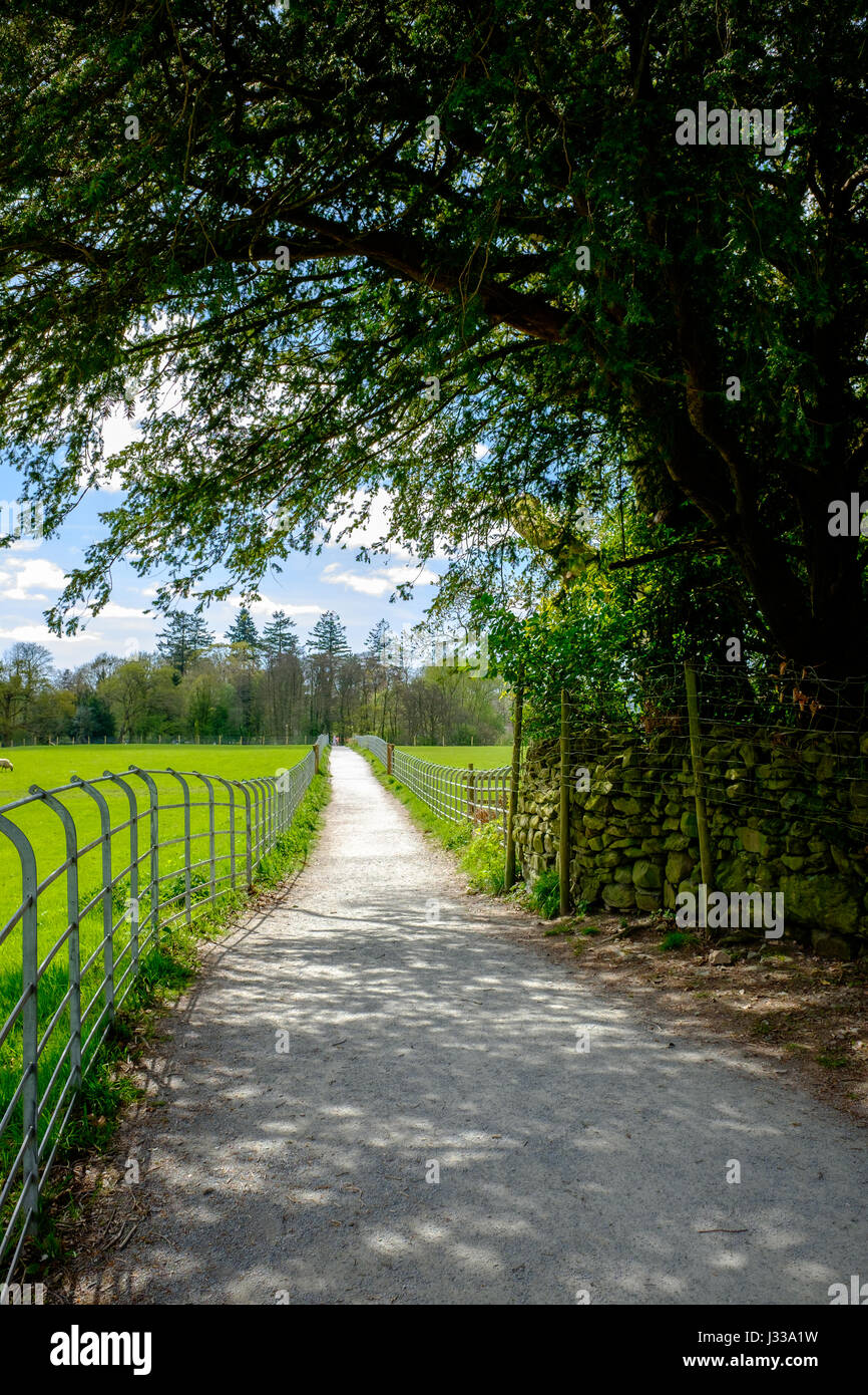 Overhanging path hi-res stock photography and images - Alamy