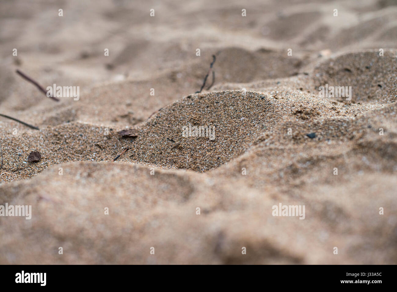 sand close up Stock Photo - Alamy