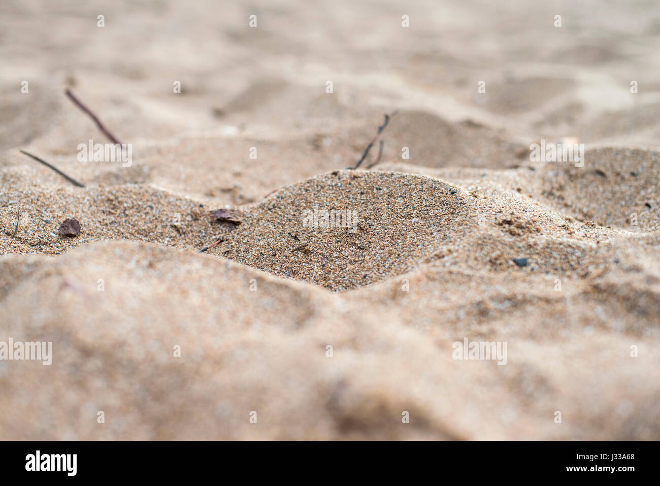 sand close up Stock Photo - Alamy
